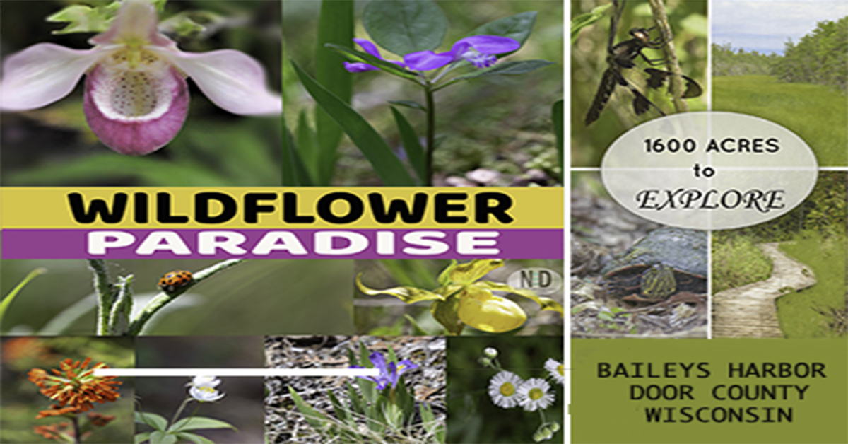 Ridges Sanctuary Door County Nature Preserve - Nikki Lynn Design