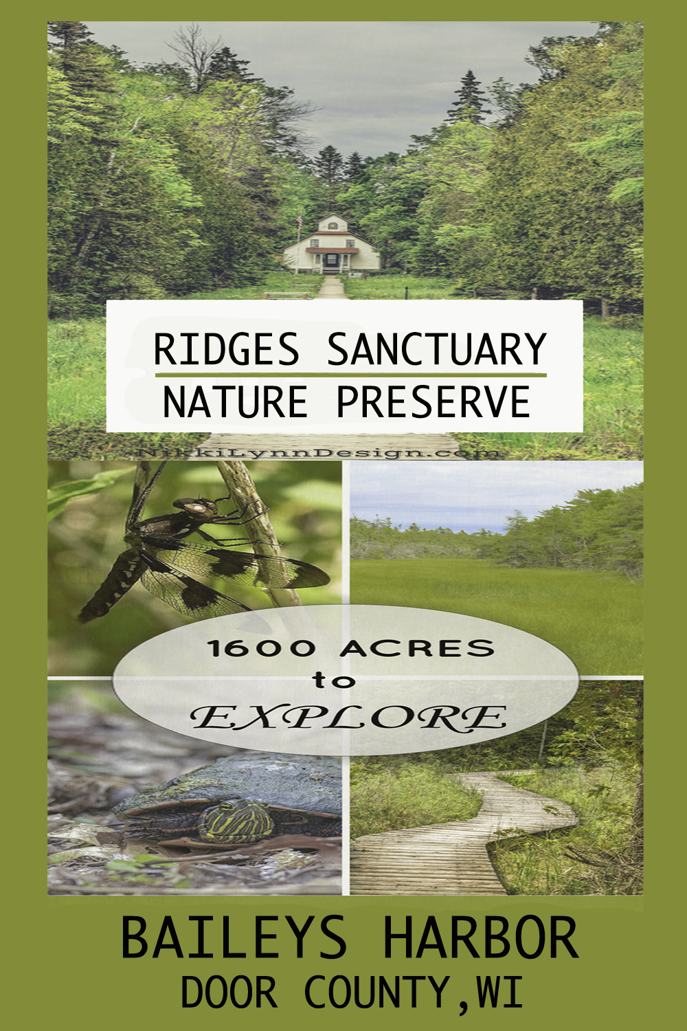 Ridges Sanctuary Door County Nature Preserve - Nikki Lynn Design