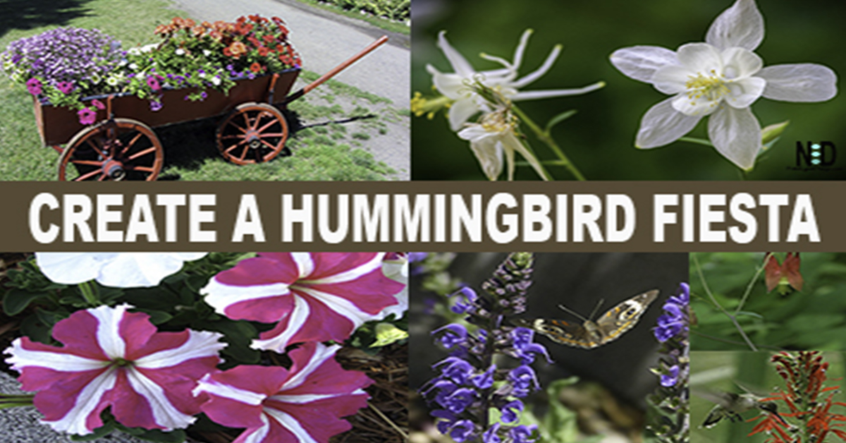 Just Humming Along Wagon - Nikki Lynn Design