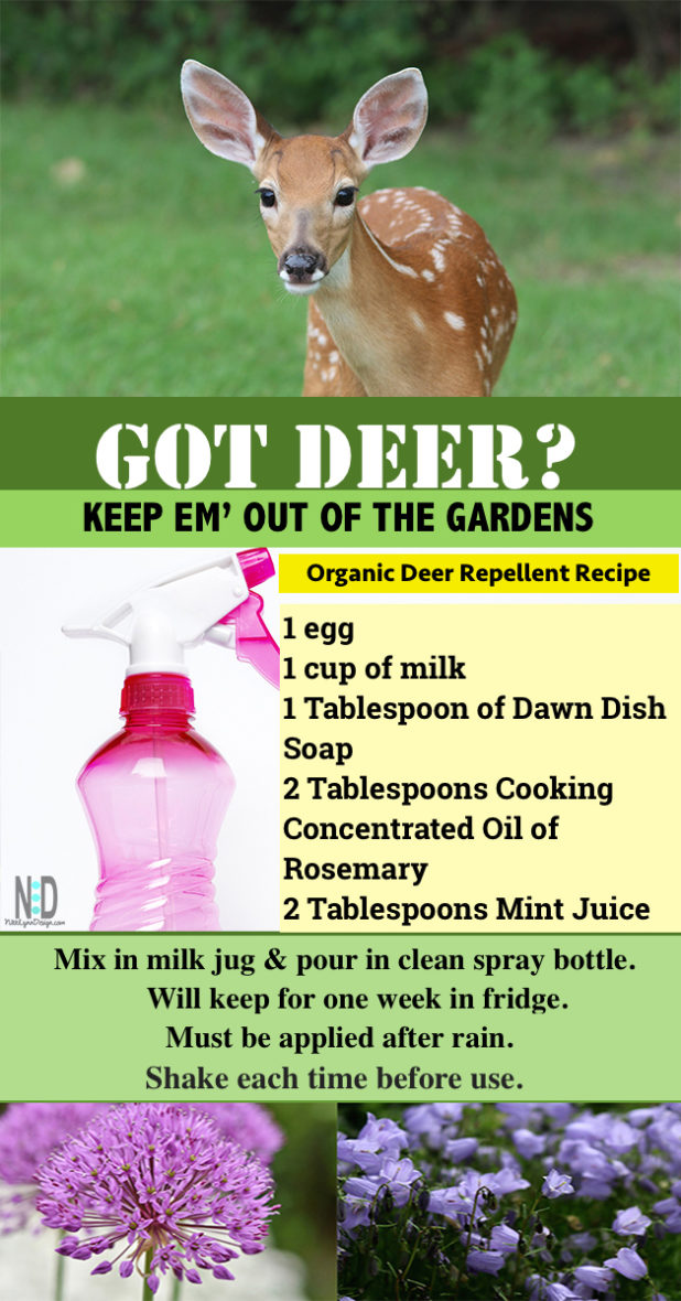 Organic Deer Plant Repellent - Nikki Lynn Design