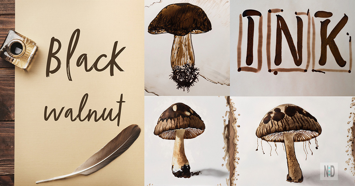 Black Walnut Ink: Craft Rich, Natural Ink From Foraged Nuts - Nikki ...